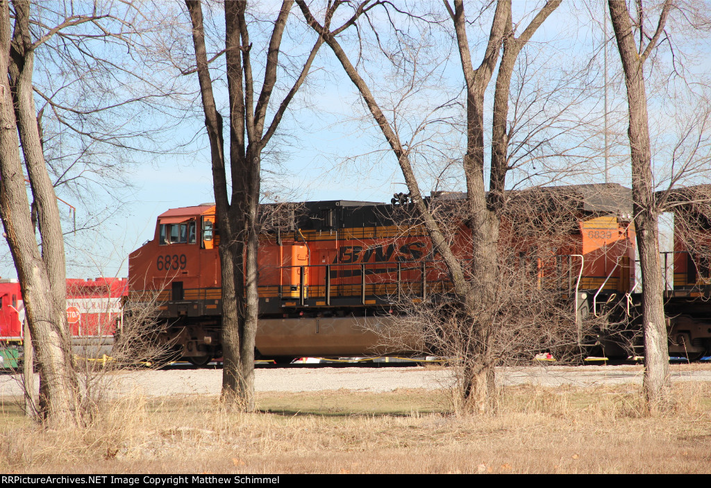 Hidden Behind The Trees